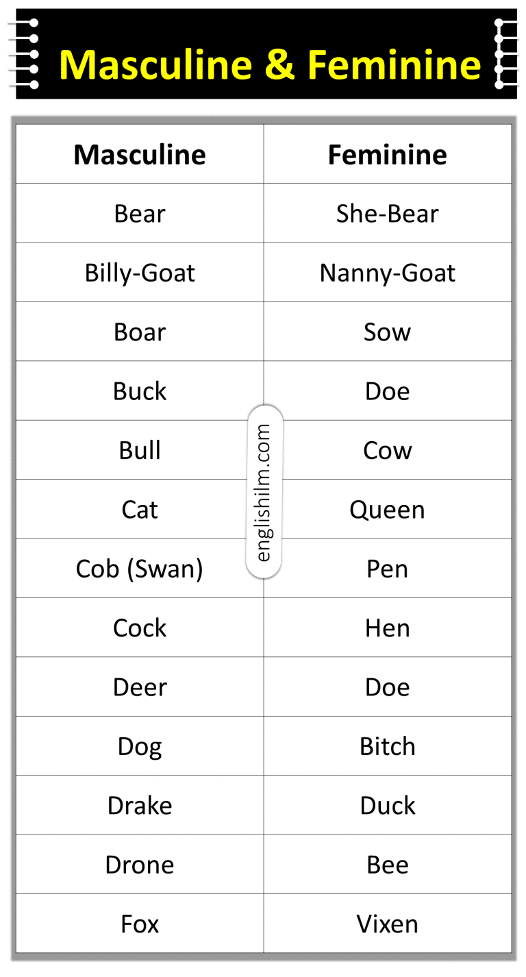Masculine and Feminine | 100 Examples of Gender of Nouns