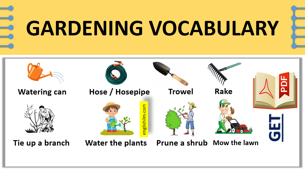 Useful Words To Describe Your Daily Routine | Pictures Vocabulary ...