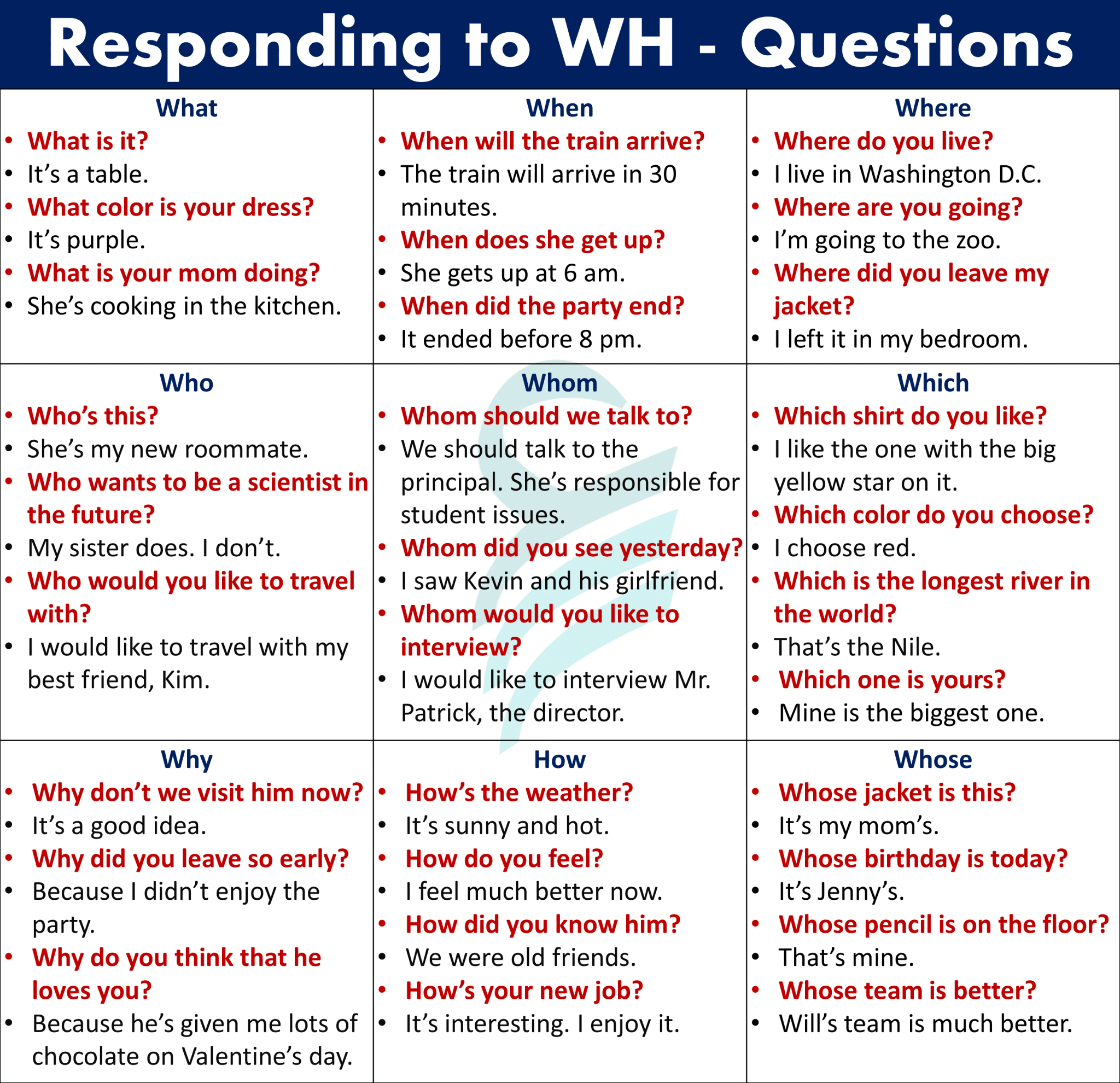 WH-Words Explained With Examples in English | WH-Words
