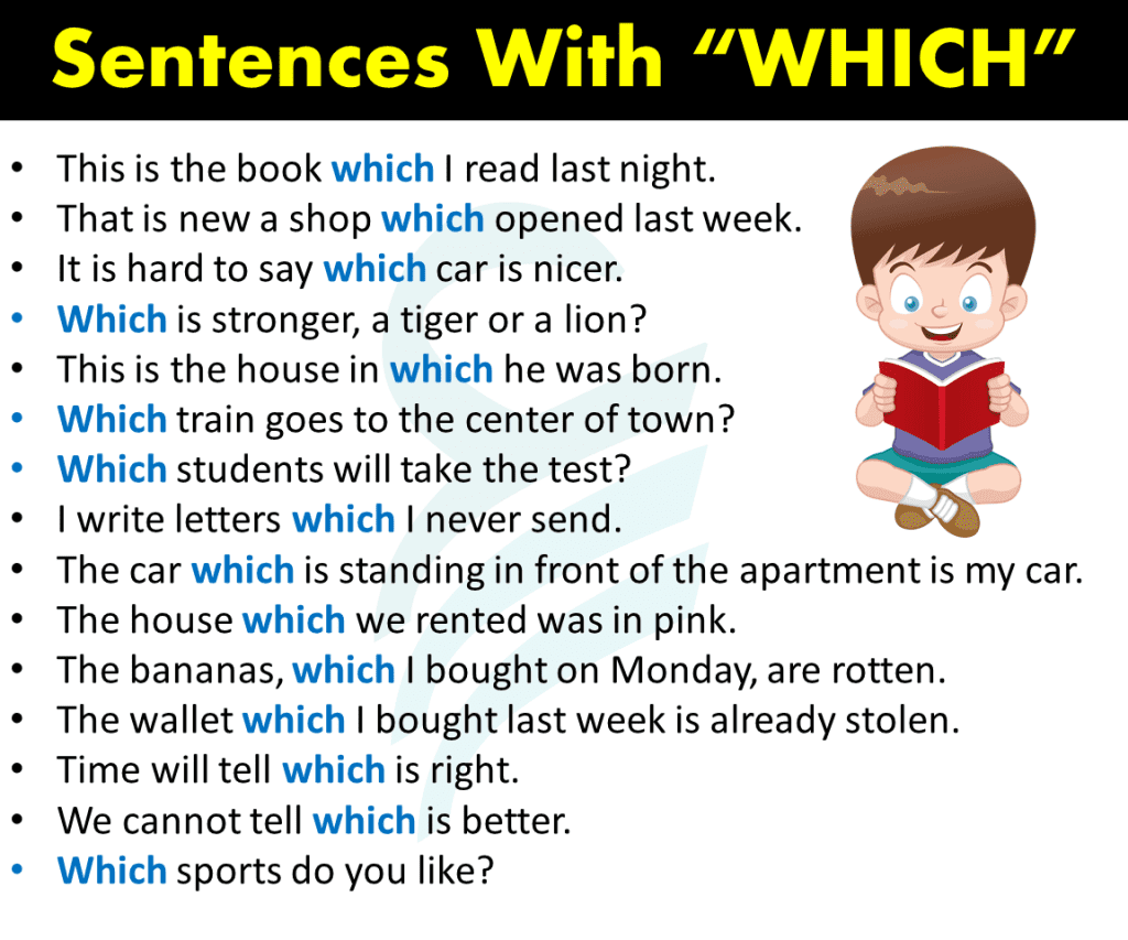 Sentences With "Which" | 15+ Examples Sentences • Englishilm