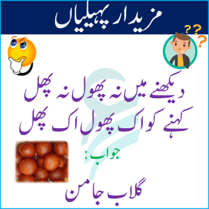 Interesting Riddles With Answers in Urdu | Riddles in Urdu • Englishilm