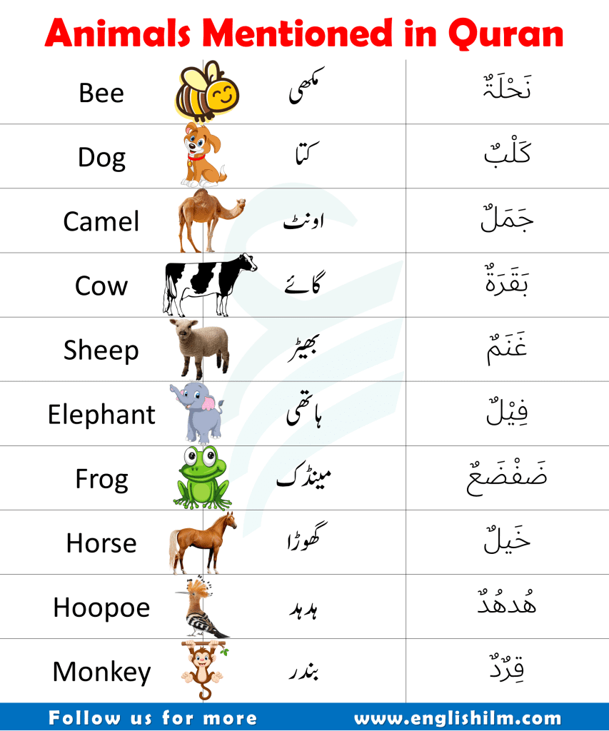 Animals in Quran | 21 Animals Mentioned in Holy Qur’an • Englishilm