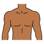 Parts of The Body In English | Human Body Parts with Images