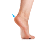 Parts of The Body In English | Human Body Parts with Images