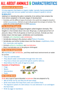 All about Animals & Characteristics With Pictures
