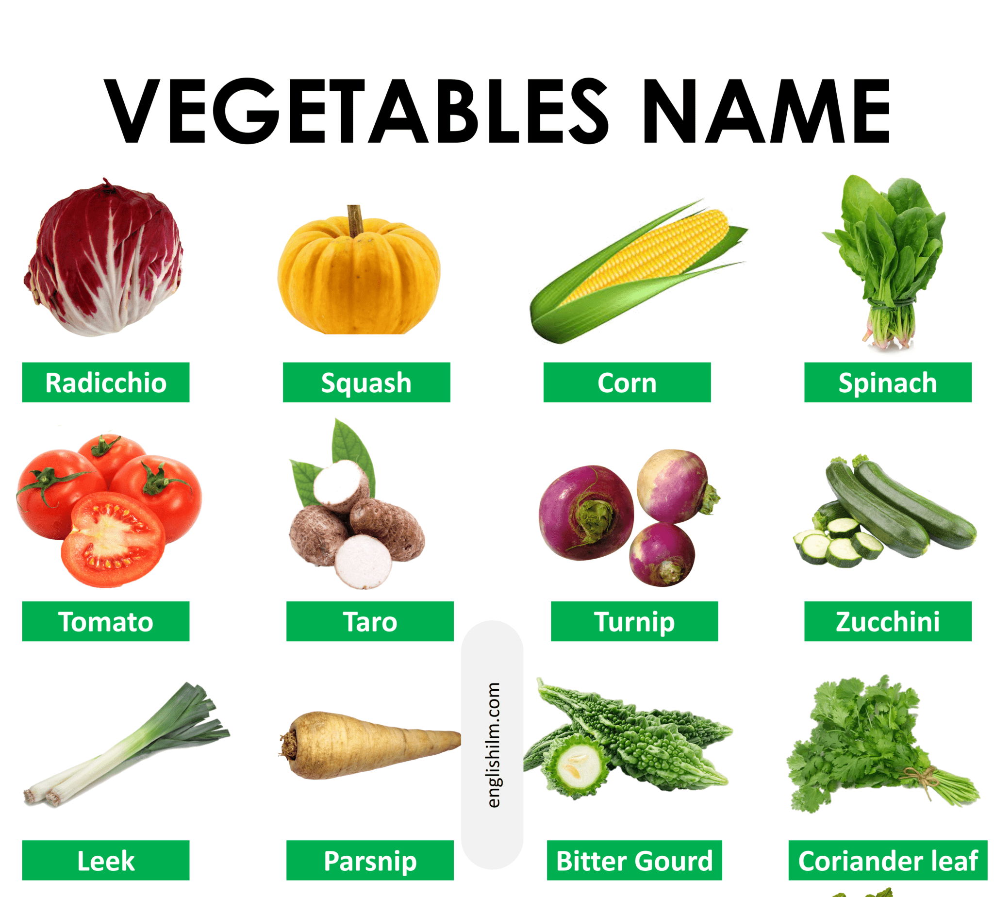 Vegetables: List of Vegetable Names in English with Images