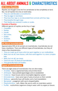 All about Animals & Characteristics With Pictures