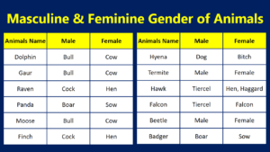 Masculine & Feminine Gender Animals in English with Pictures