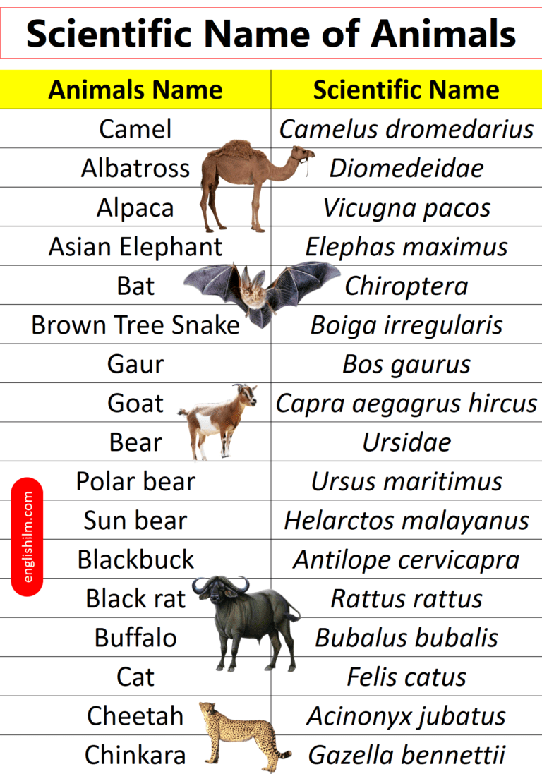 100+ Scientific Names of Animals in English | Scientific Names