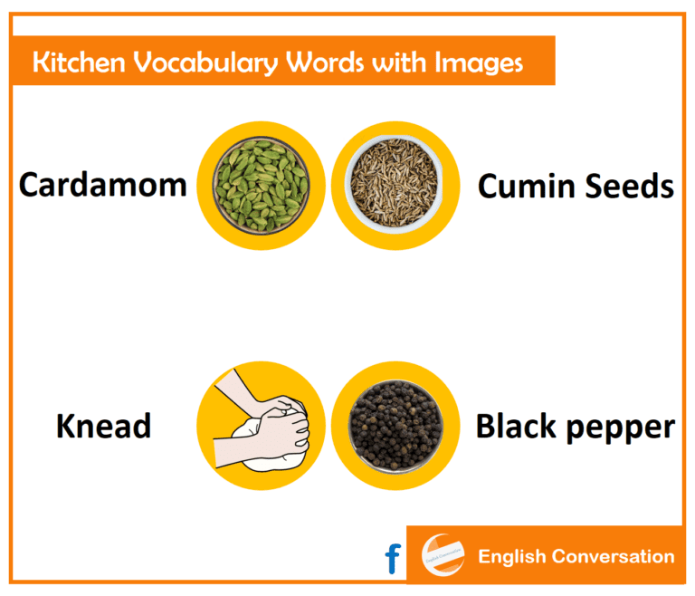 Kitchen Vocabulary Words In English with Images | PDF • Englishilm