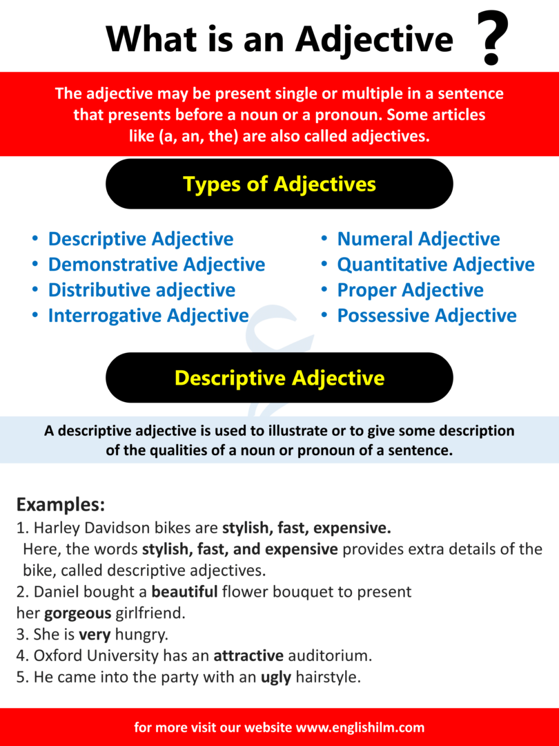 Adjective: Definition, Types, and Helpful Examples