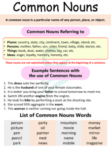 Common Nouns Definition, Rules, and Examples in English • Englishilm