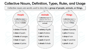 Collective Nouns Definition, Rules, Usage, and Helpful Examples ...