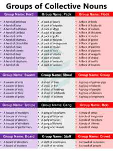Collective Nouns Definition, Rules, Usage, and Helpful Examples ...