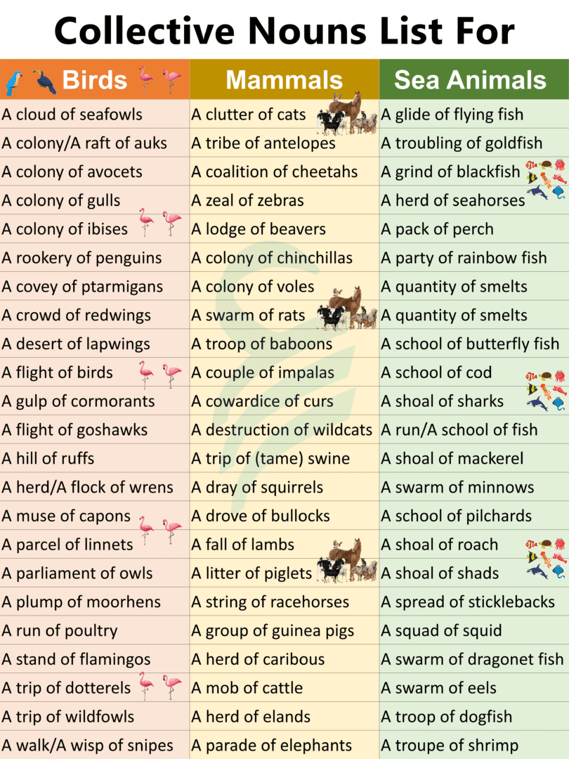 Collective Nouns Definition, Rules, Usage, and Helpful Examples ...