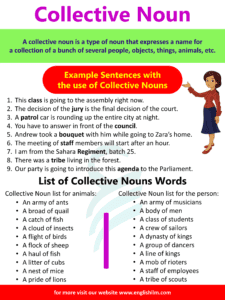 Collective Nouns Definition, Rules, Usage, and Helpful Examples ...