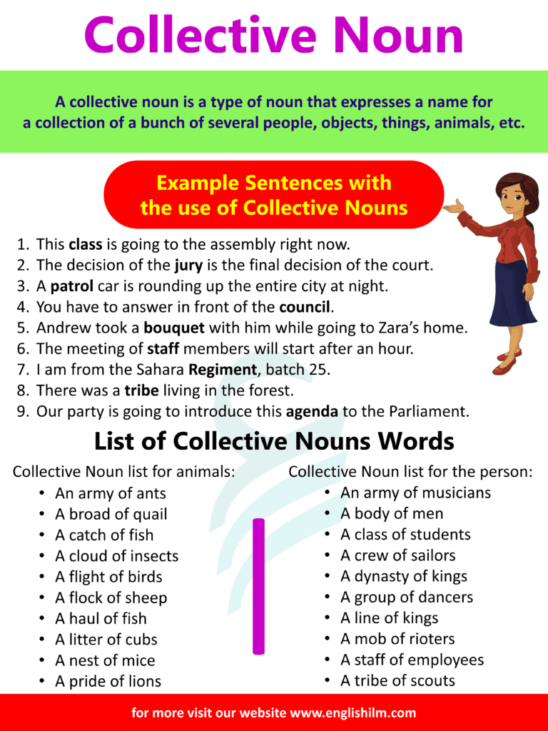 Collective Nouns Definition, Rules, Usage, and Helpful Examples ...