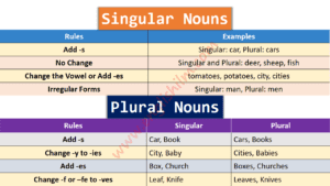 Singular and Plural Nouns Definition, Usage, and Examples • Englishilm