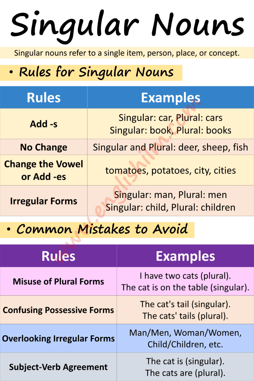 Singular and Plural Nouns Definition, Usage, and Examples • Englishilm