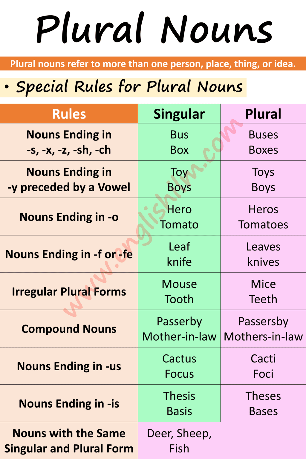 Singular and Plural Nouns Definition, Usage, and Examples • Englishilm