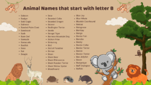 68 Animal Names That Start with the English Letter B • Englishilm