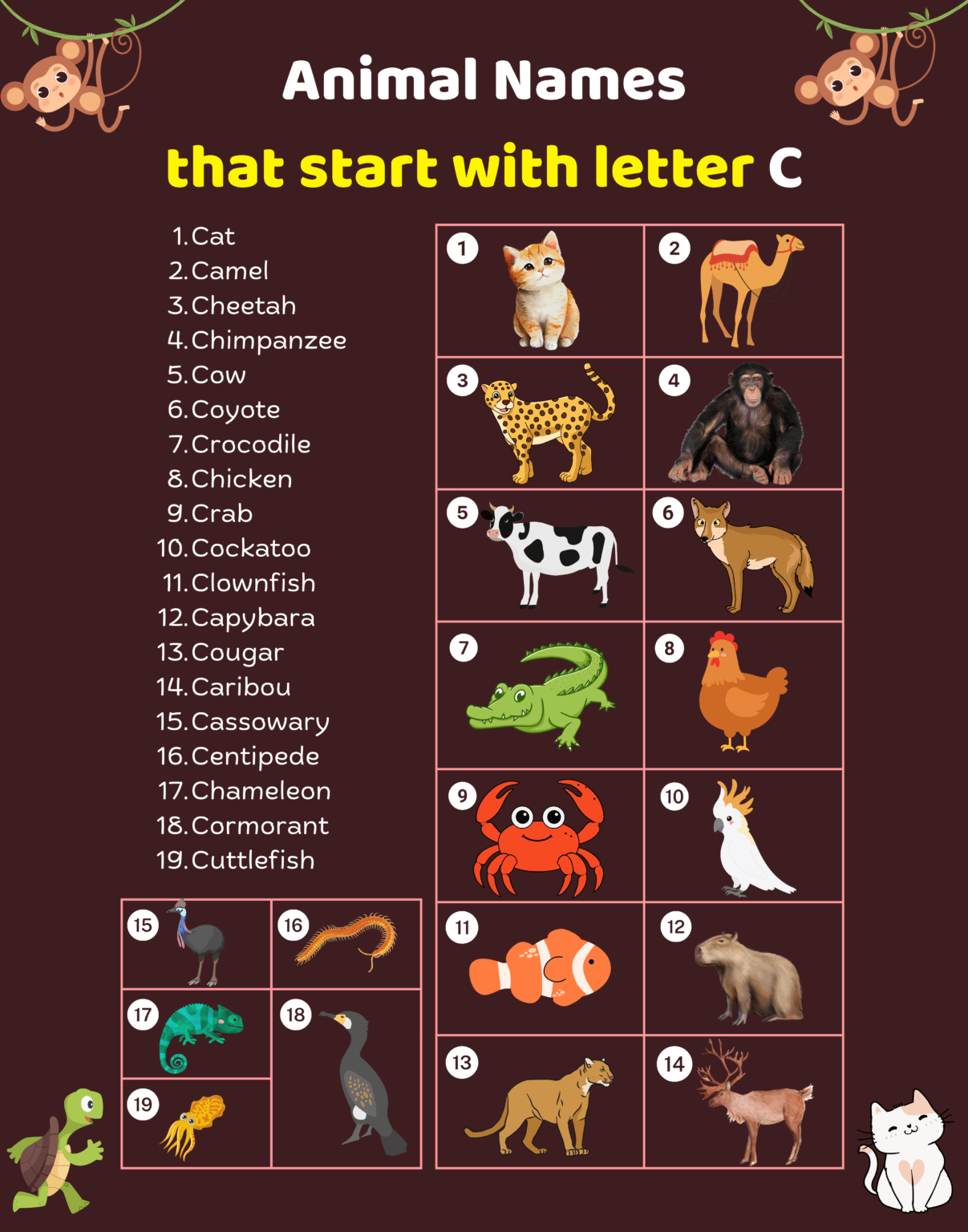 19 Animal Names That Start with English Letter C • Englishilm