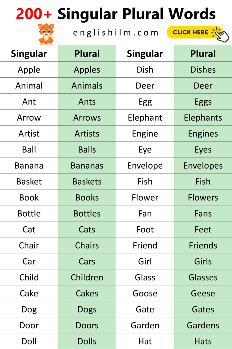 200+ Singular and Plural Words Examples • Englishilm
