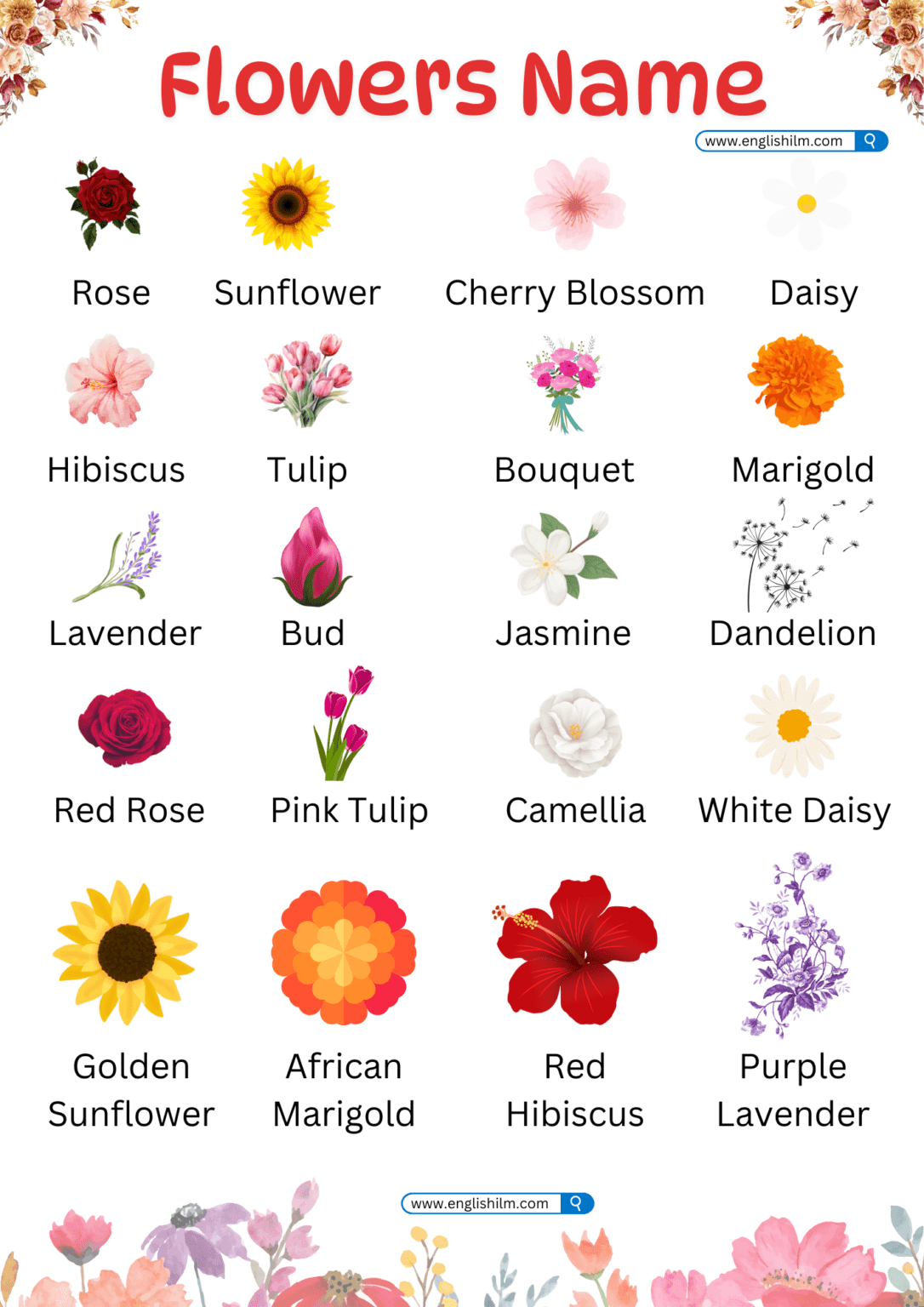 100 Flowers Names in English with Images • Englishilm
