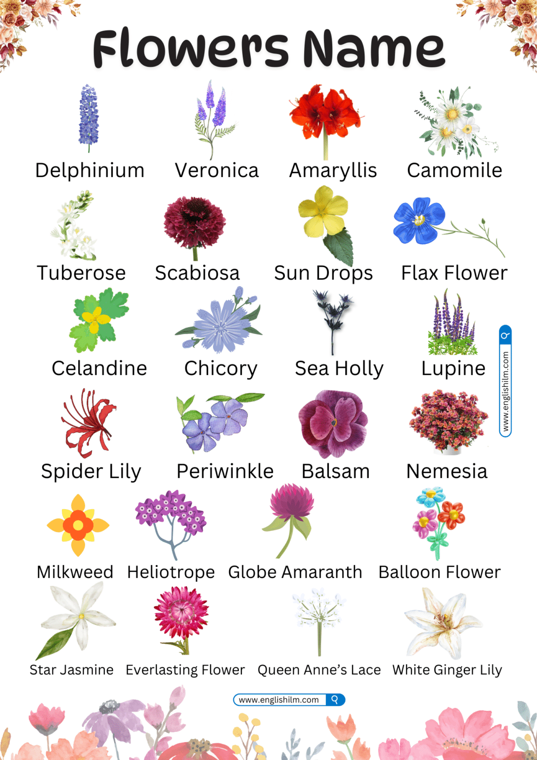 100 Flowers Names in English with Images • Englishilm