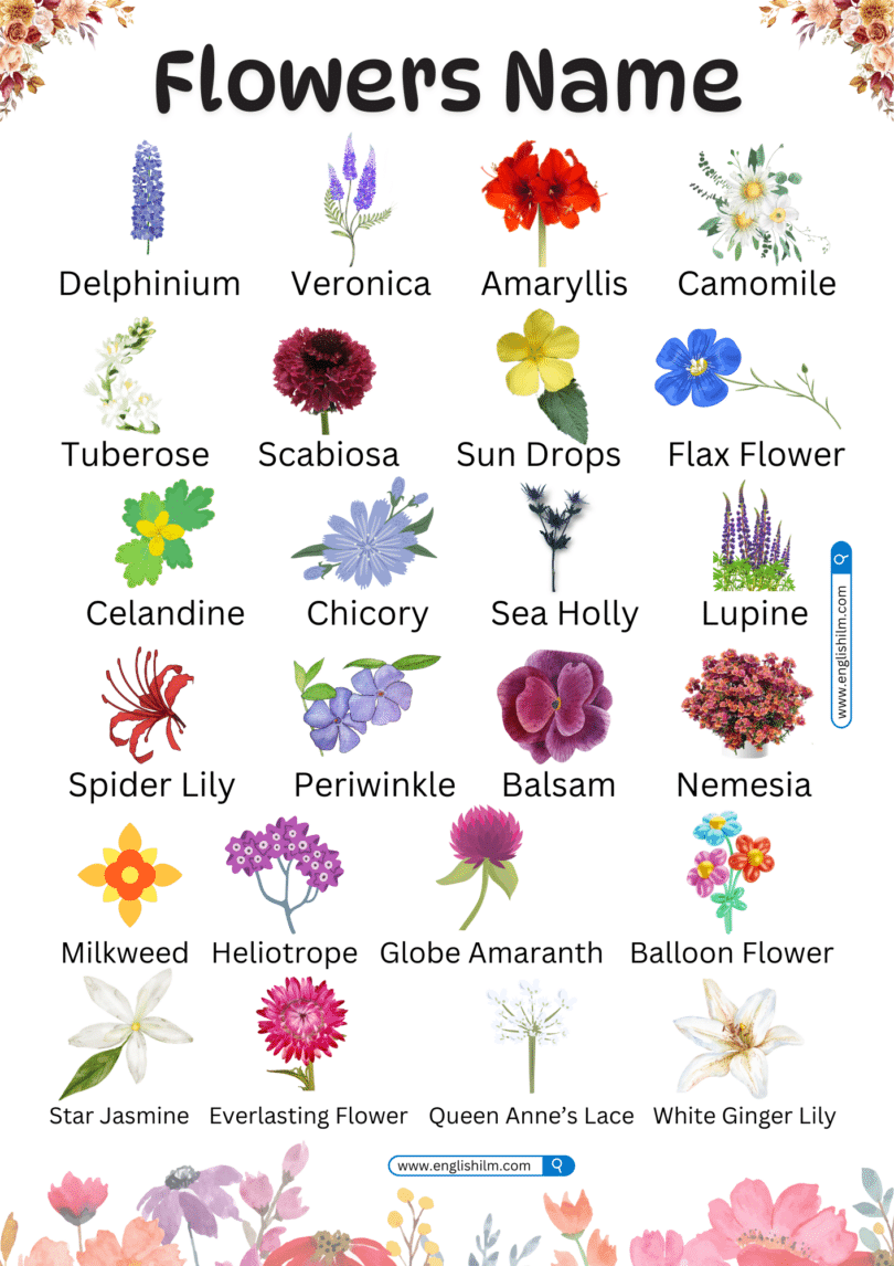 100 Flowers Names in English with Images • Englishilm
