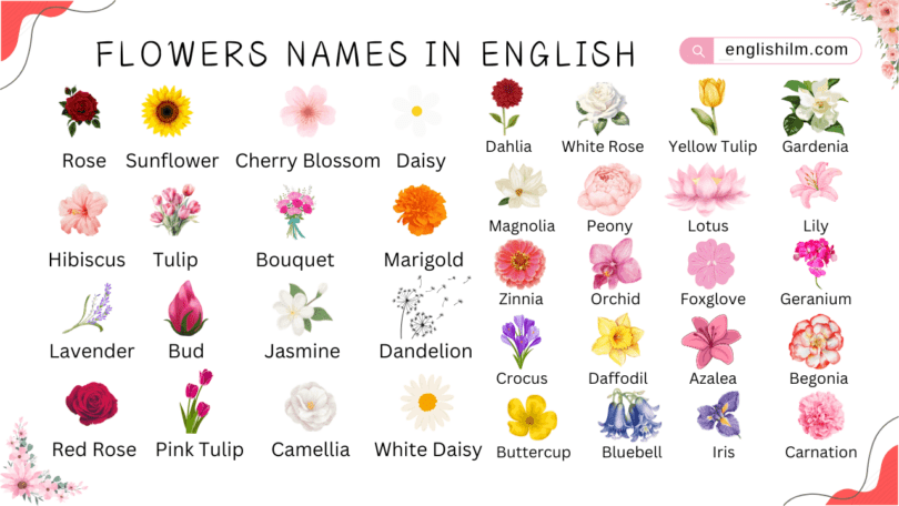 100 Flowers Names in English with Images • Englishilm