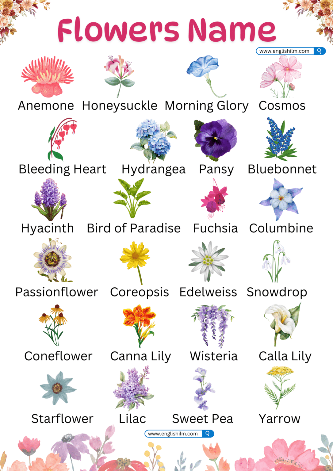 100 Flowers Names in English with Images • Englishilm