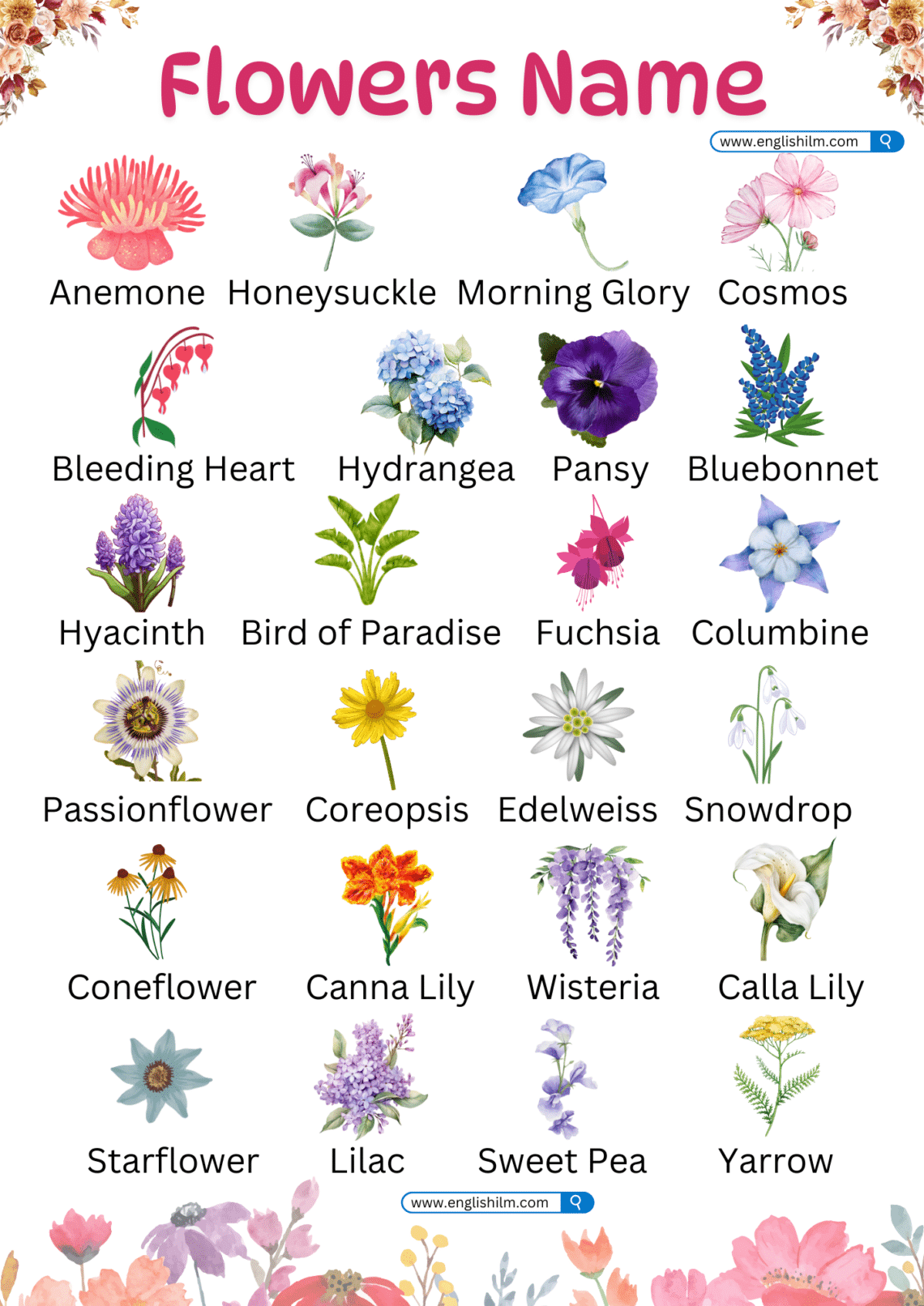 100 Flowers Names in English with Images • Englishilm