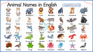 Animal Names in English with Pictures and Information • Englishilm