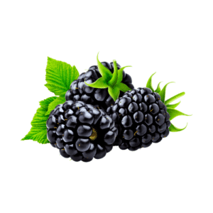 Fruits Names in English with Pictures • Englishilm