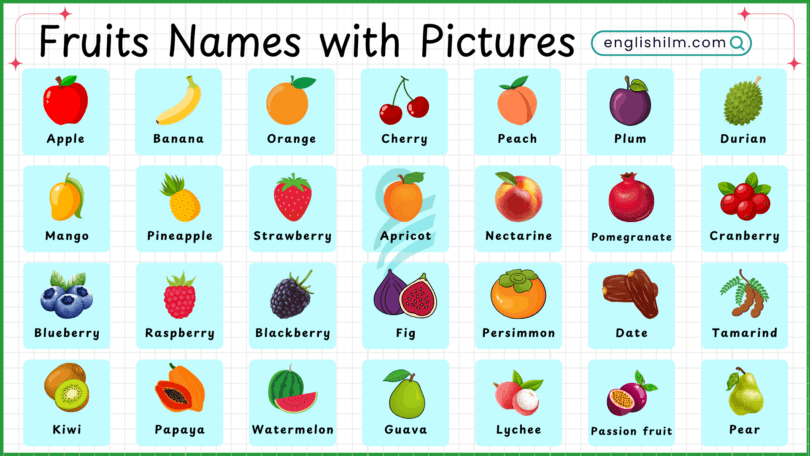 Names of Fingers in English with Pictures • Englishilm