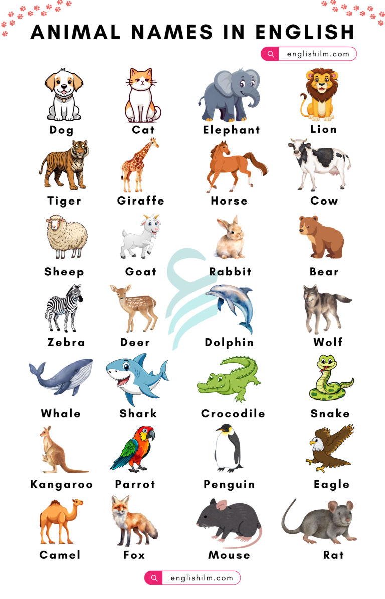Animal Names in English with Pictures and Information • Englishilm