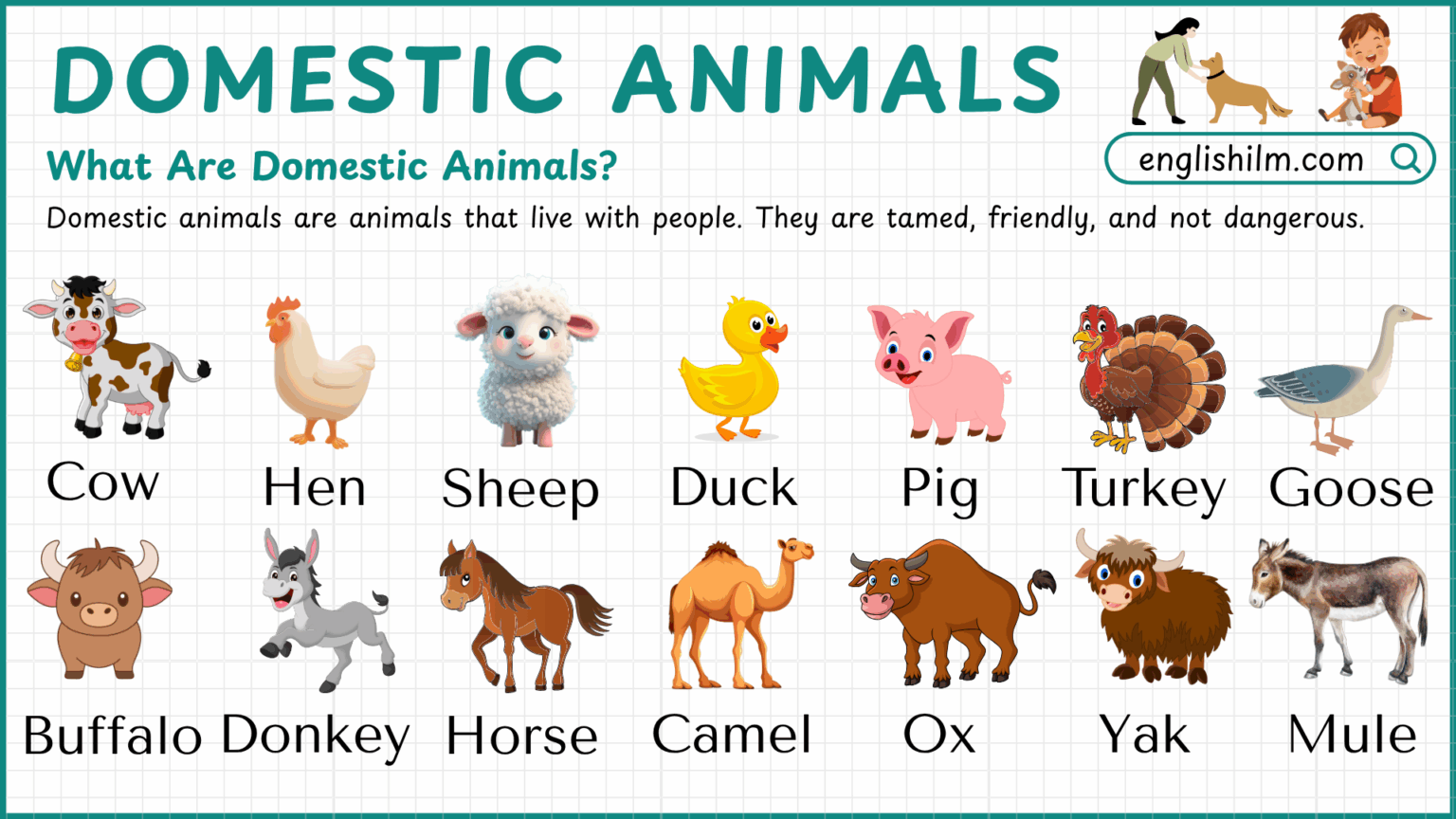 Domestic Animals Name in English with Pictures • Englishilm