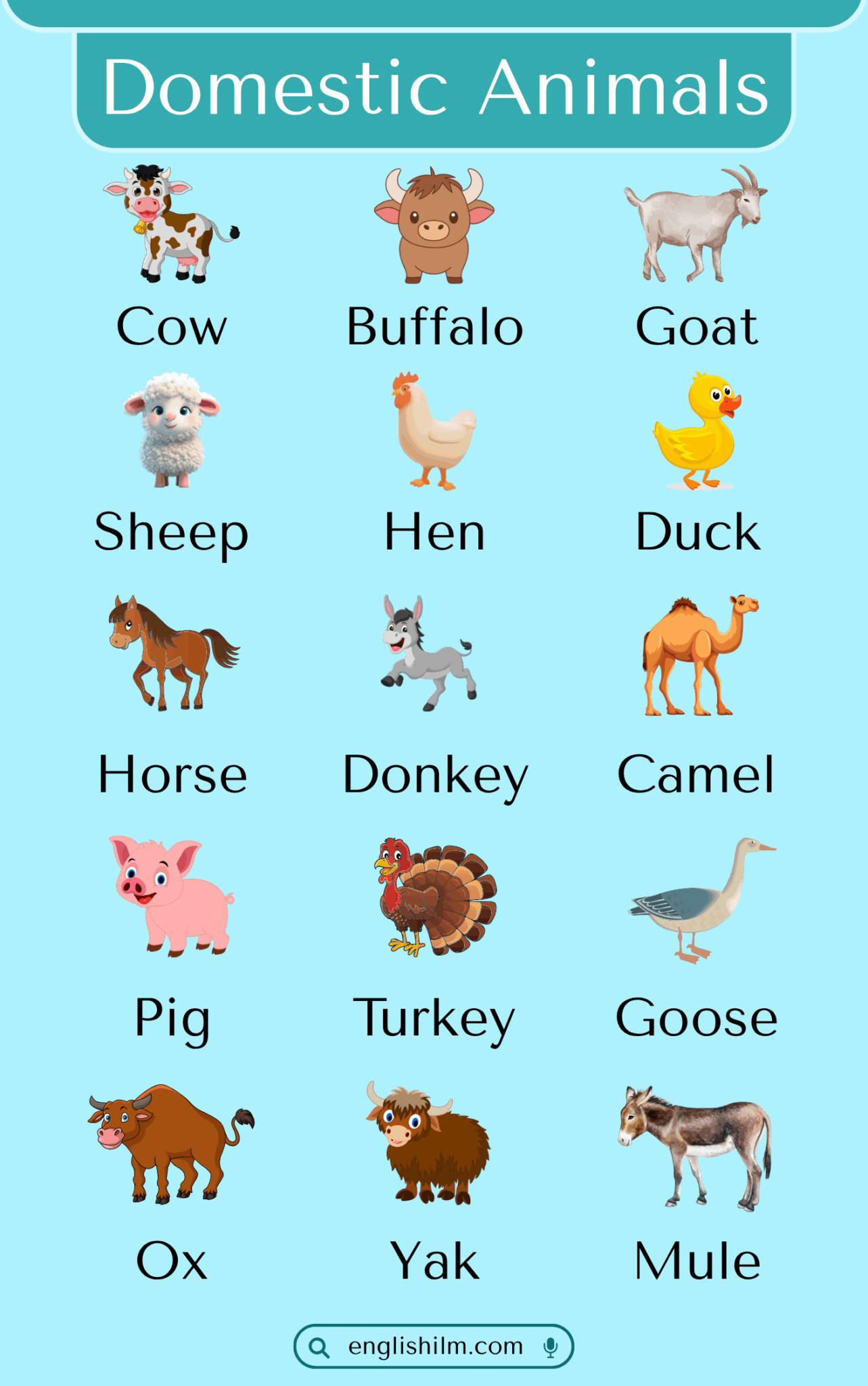 Domestic Animals Name in English with Pictures • Englishilm