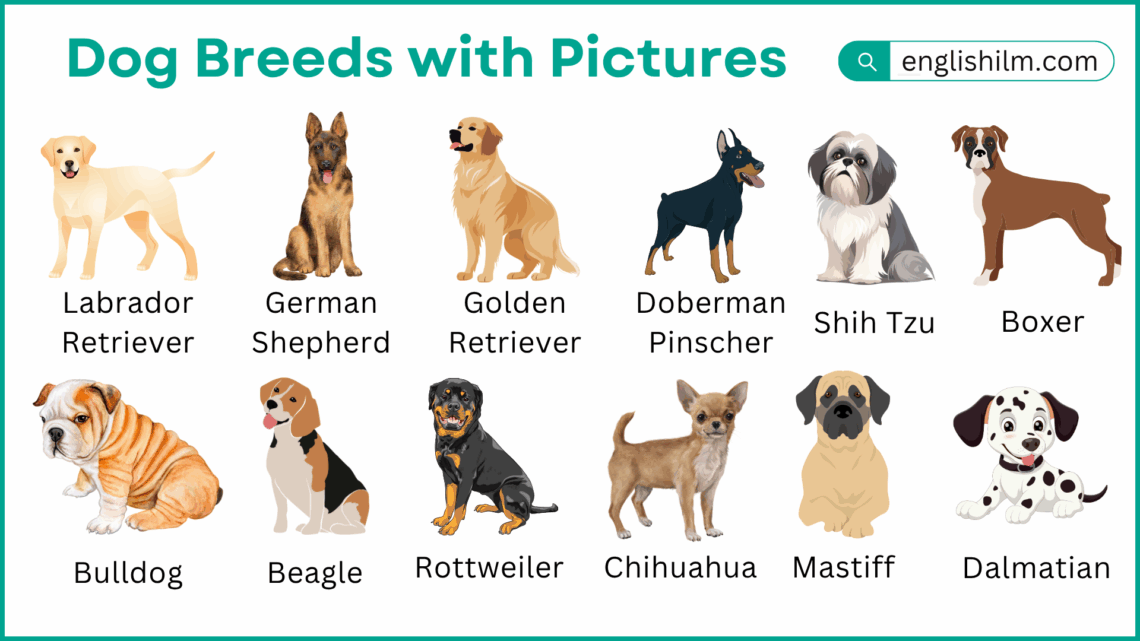 Landforms Names in English with Their Pictures • Englishilm