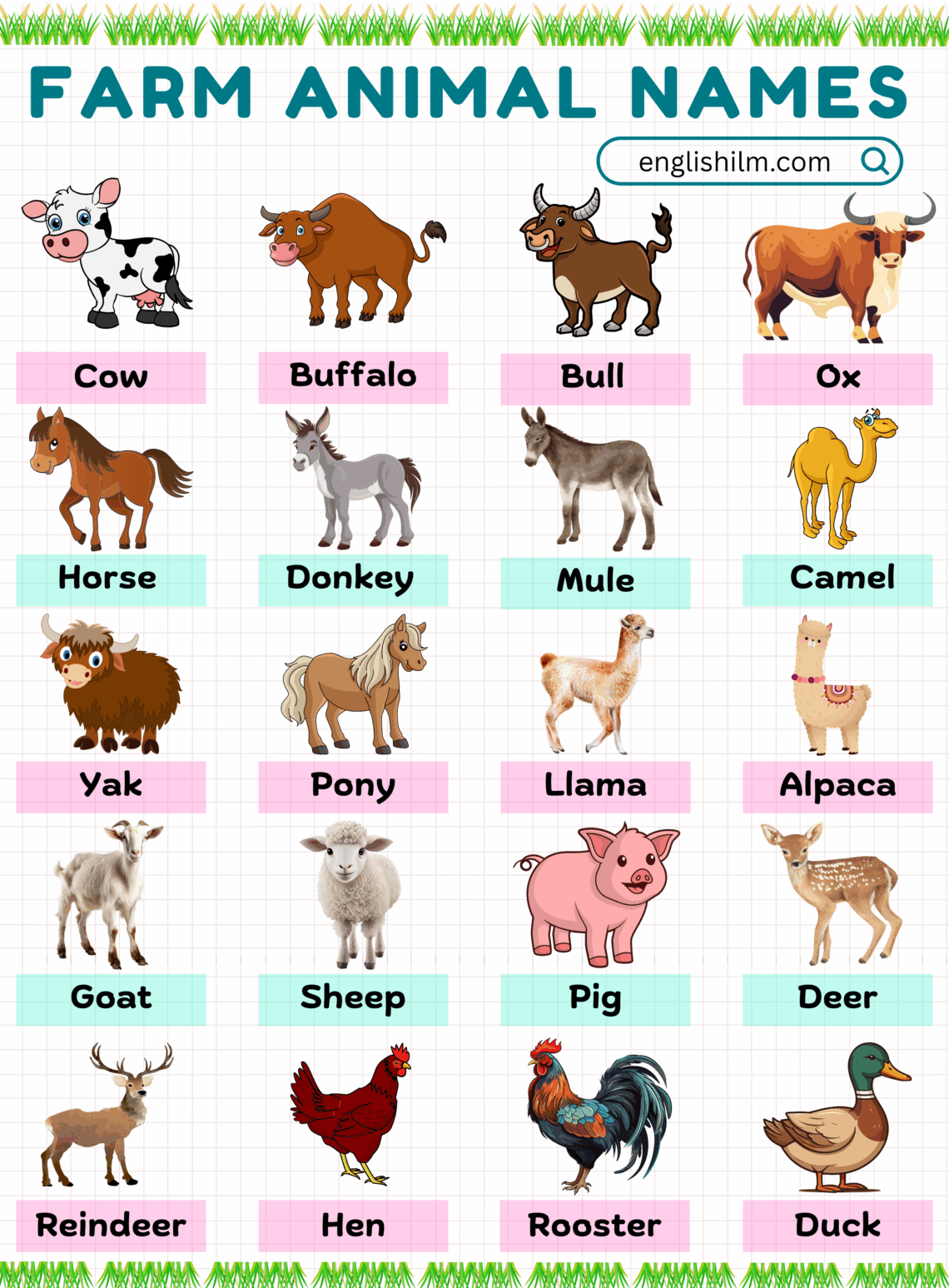 Farm Animals Name with Pictures • Englishilm