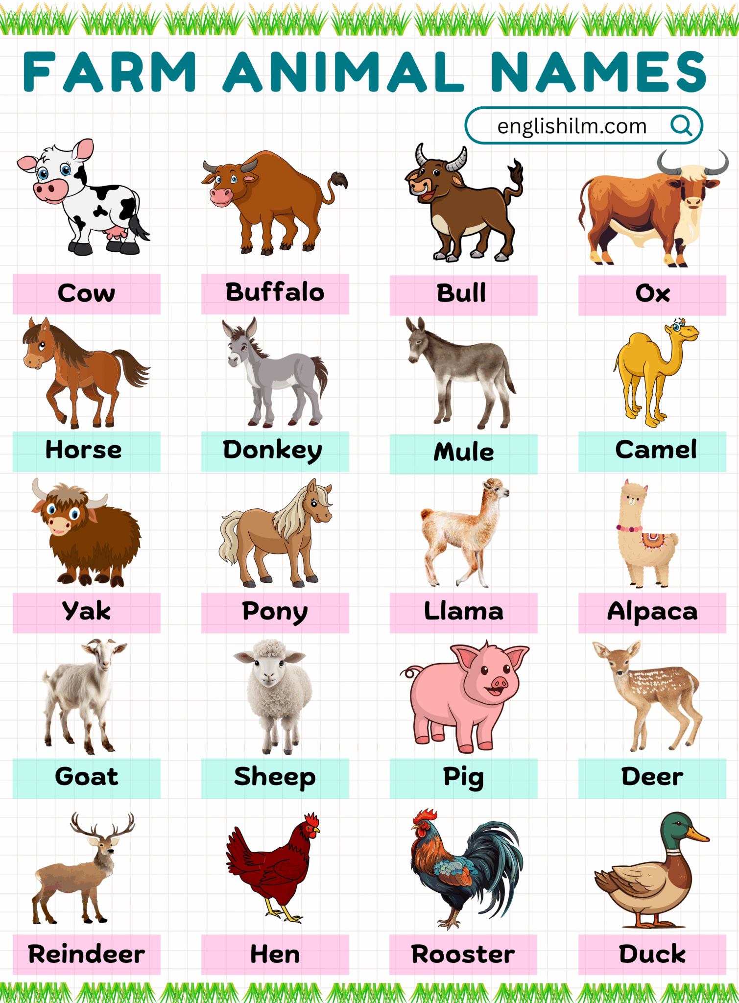 Farm Animals Name with Pictures • Englishilm