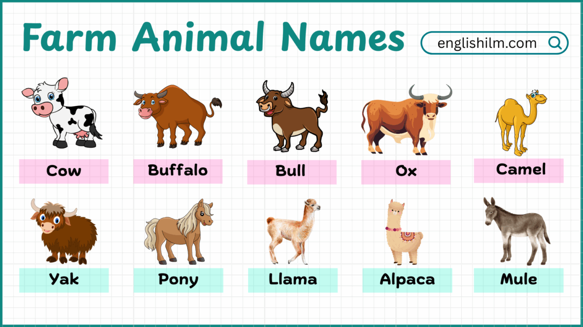 Farm Animals Name with Pictures • Englishilm