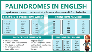 What is a Palindrome? Definition, Examples, and Usage in English